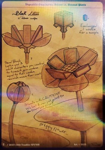 Block Lotus - Little Troubles